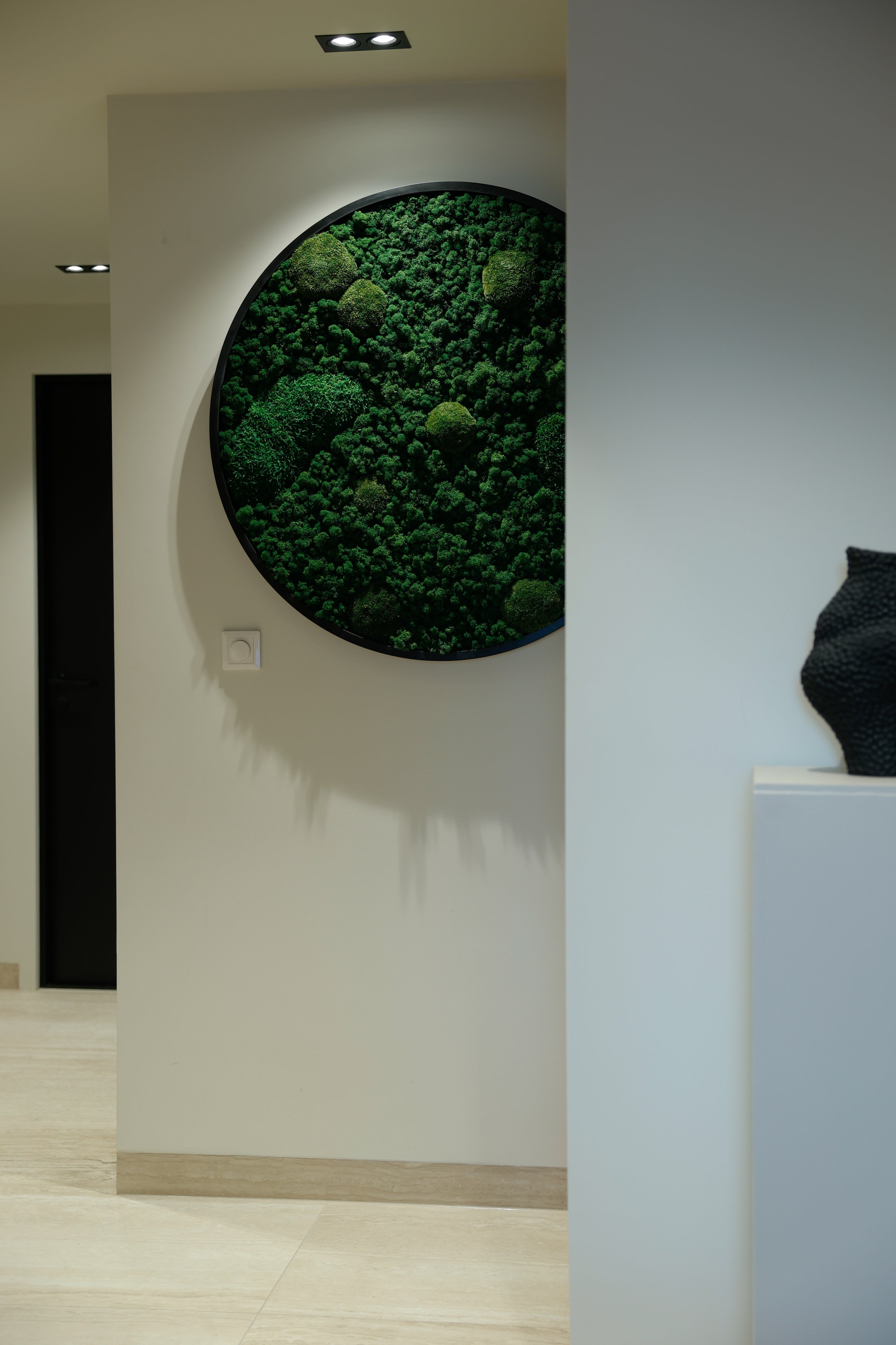 VILLMARK | Mosebilde Sirkel Mix - ATLANTI