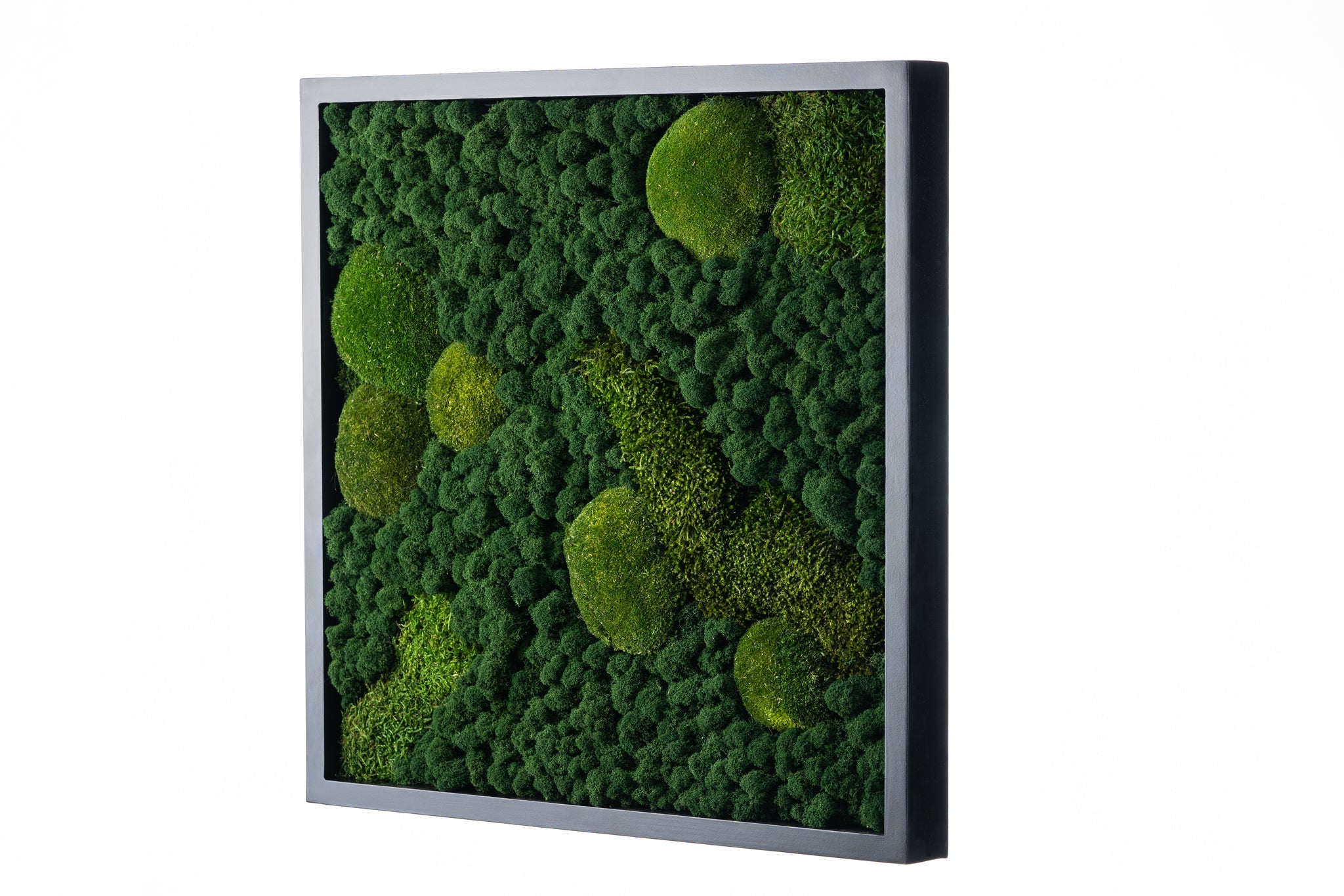 VILLMARK | Mosebilde Firkant Mix - ATLANTI